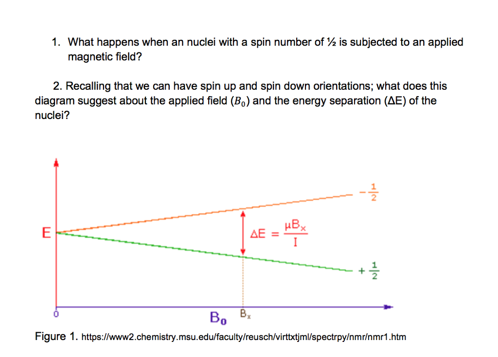 Solved 1. What happens when an nuclei with a spin number of | Chegg.com