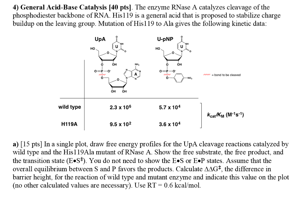 General Acid-Base Catalysis [40 pts]. The enzyme | Chegg.com