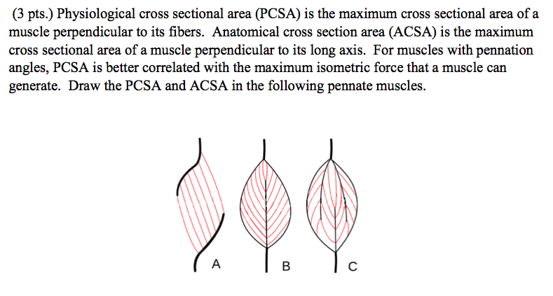 Anatomy And Physiology Archive | March 01, 2018 | Chegg.com