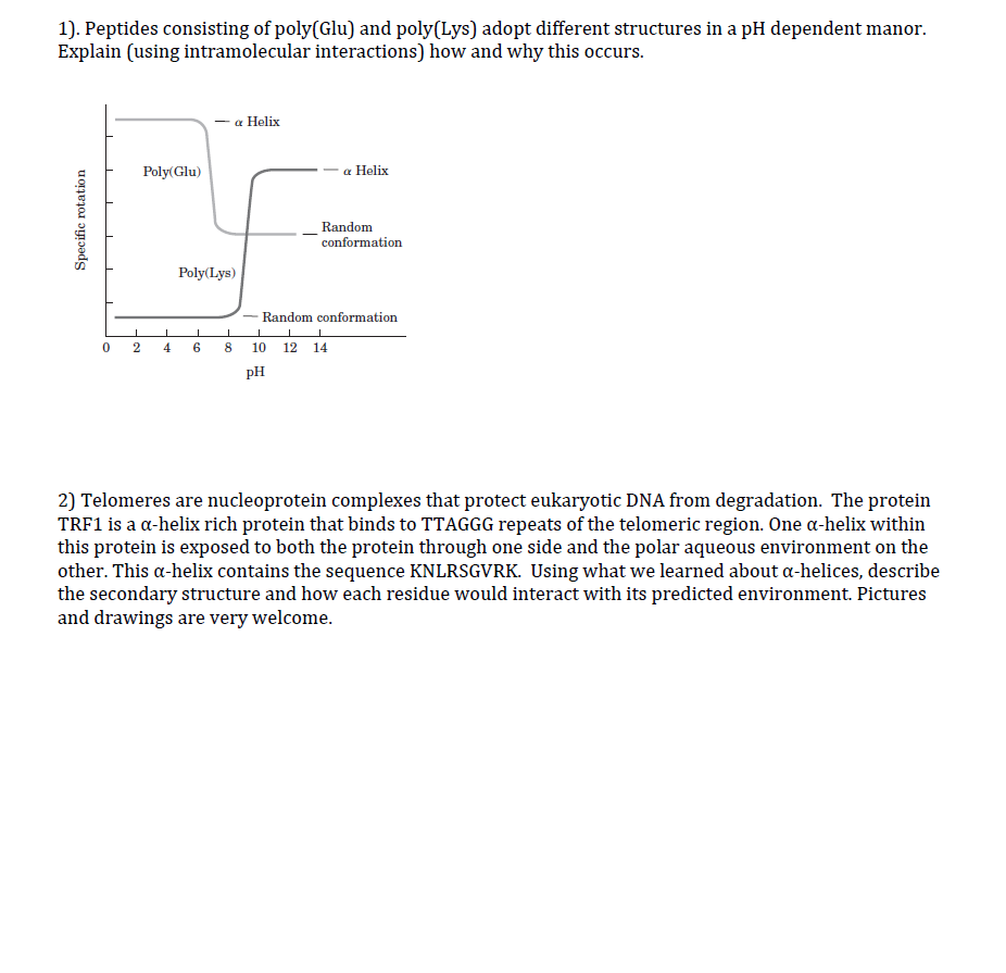 1). Peptides consisting of poly(Glu) and poly(Lys) | Chegg.com