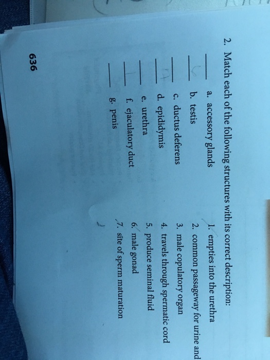Solved Match each of the following structures with its | Chegg.com