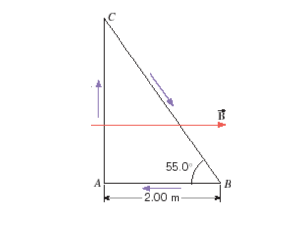 Solved The triangular loop of wire shown in the drawing | Chegg.com