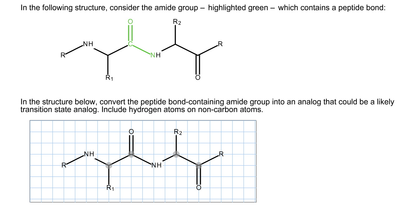 Solved In the following structure, consider the amide group | Chegg.com