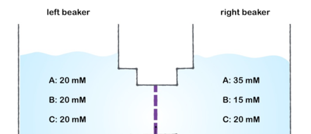 Consider the following solutes: Molecule A has a | Chegg.com