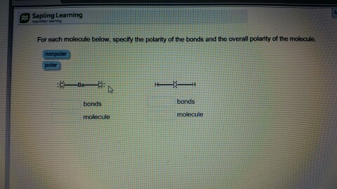 Solved For each molecule below, specify the polarity of the | Chegg.com