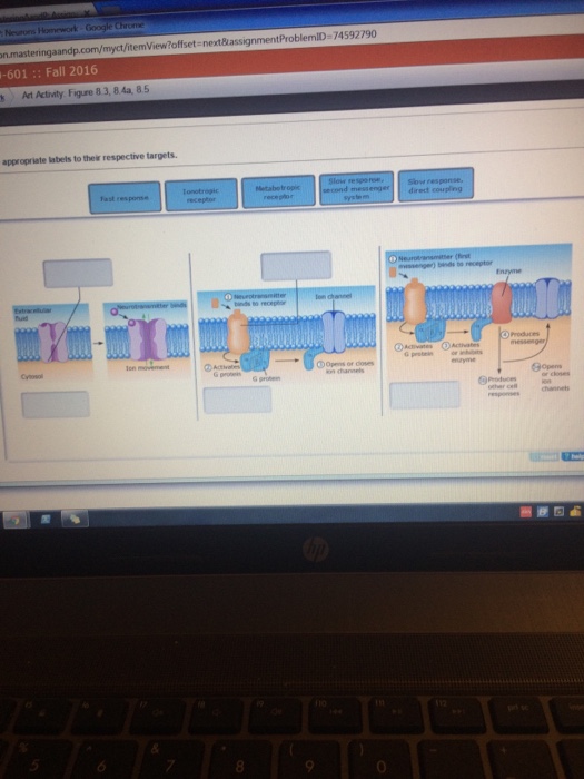 Solved offset- 74592790 -601:: Fall 2016 Art Activity Figure | Chegg.com