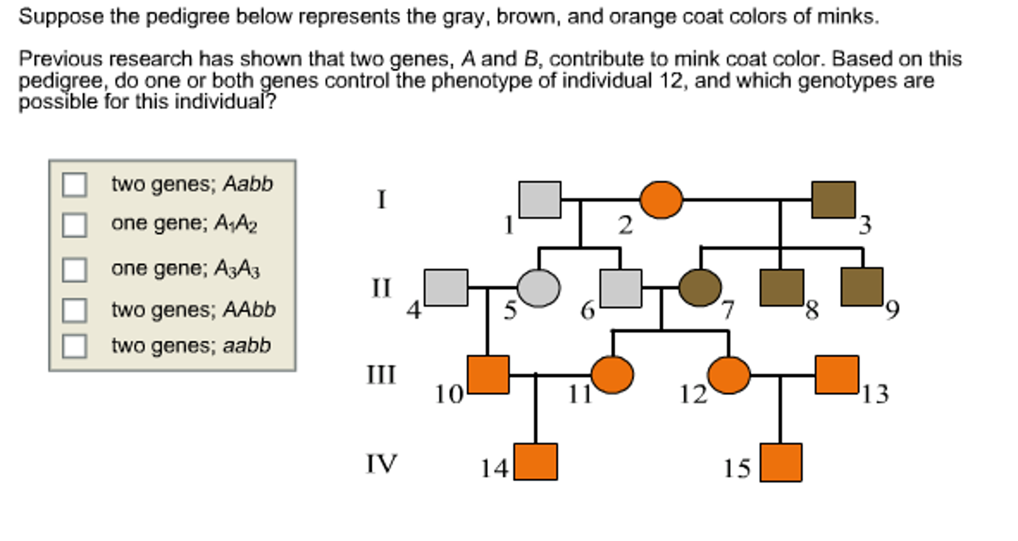 Solved Suppose the pedigree below represents the gray, | Chegg.com