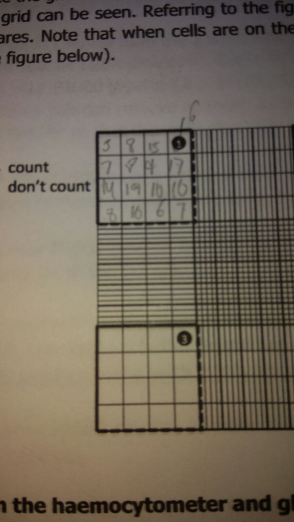 Solved Place the grid under the microscope and using the 10x | Chegg.com