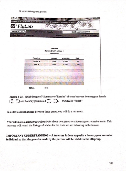 Solved BI 102 Cell biology and genetics 'FlyLab Each Watng | Chegg.com
