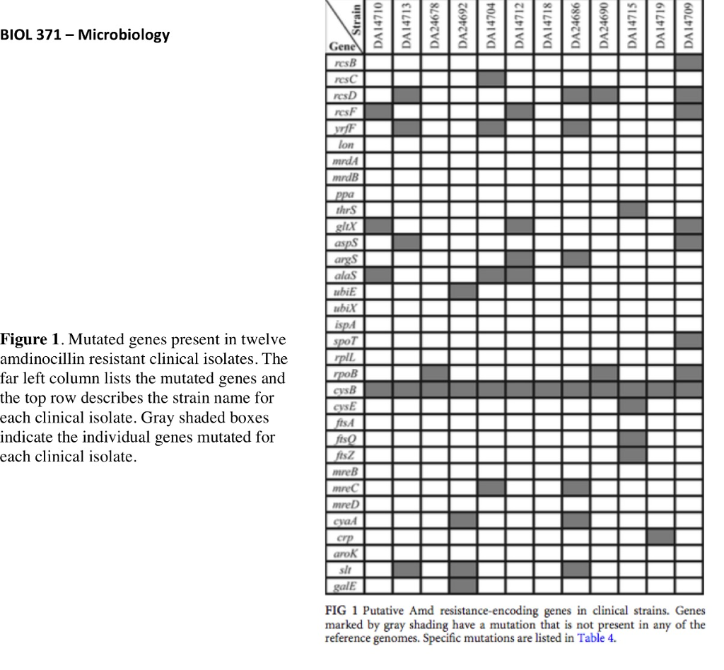 Solved Table 5. Amdinocillin susceptible and resistant | Chegg.com