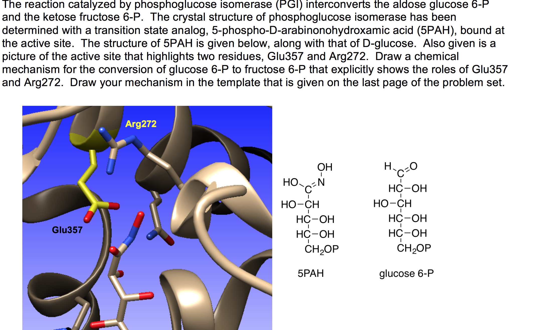 Solved The reaction catalyzed by phosphoglucose isomerase | Chegg.com