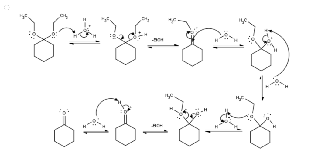Hydrolysis Reaction Mechanism