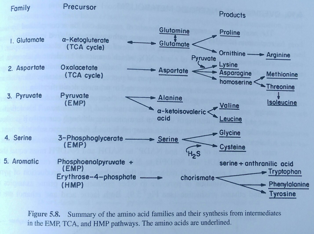 Solved a) Isozymes b) Concerted Feedback Es c) Sequential | Chegg.com