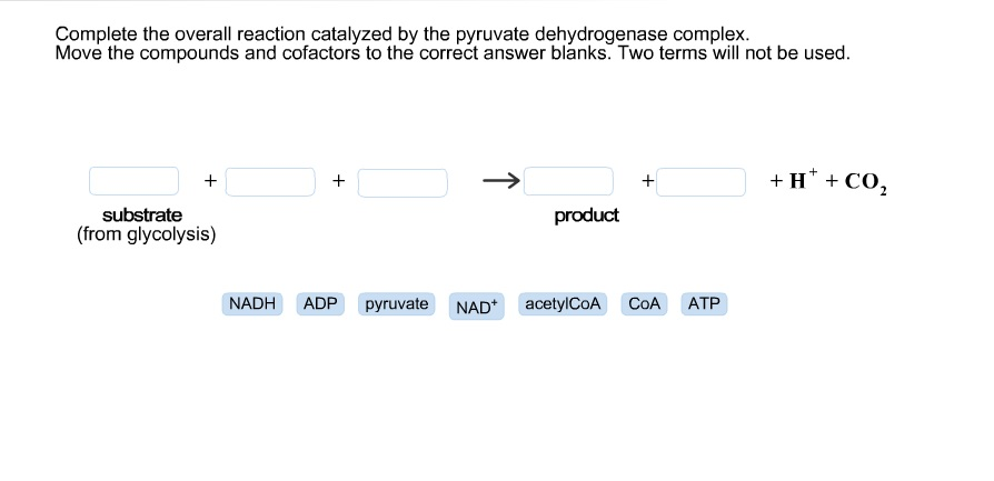 Solved Complete the overall reaction catalyzed by the | Chegg.com