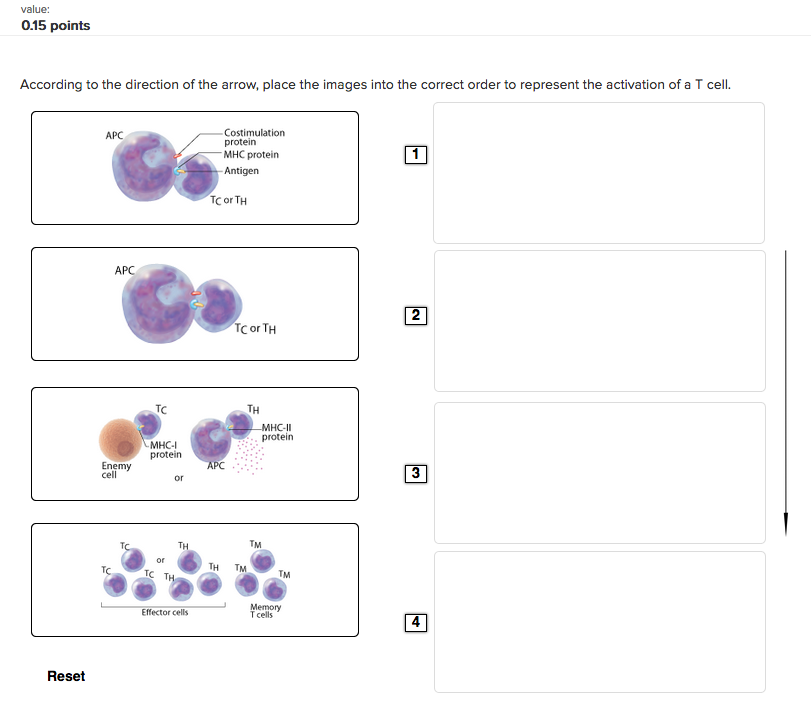 Solved According to the direction of the arrow, place the | Chegg.com
