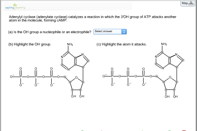 Solved Adenylyl cyclase (adenylate cyclase) catalyzes a | Chegg.com