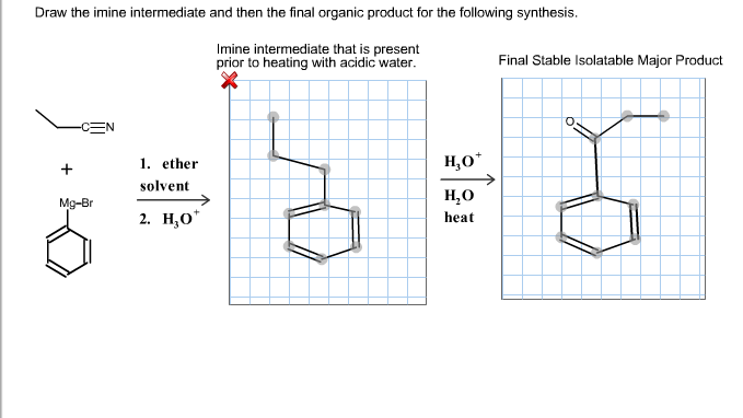 Solved Draw the imine intermediate and then the final | Chegg.com