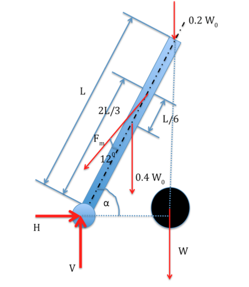 Solved The figure below shows forces acting on the spine as | Chegg.com