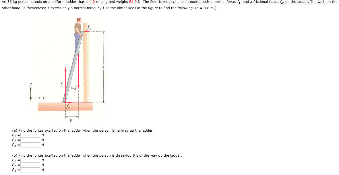 Solved An 85 kg person stands on a uniform ladder that is | Chegg.com