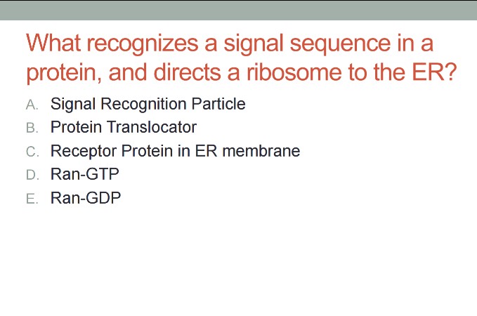Solved What recognizes a signal sequence in a protein, and | Chegg.com