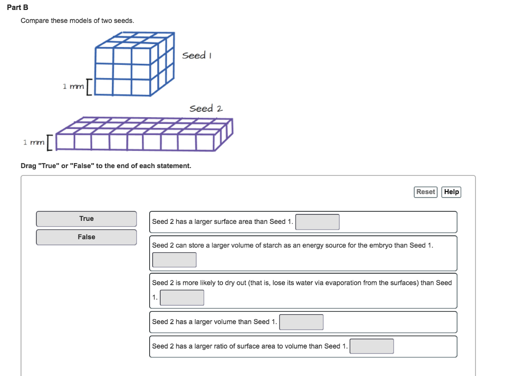 Solved Part B Compare these models of two seeds Seedi 1 mm | Chegg.com