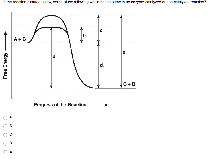 Diagram Of Enzyme Catalyzed Reaction