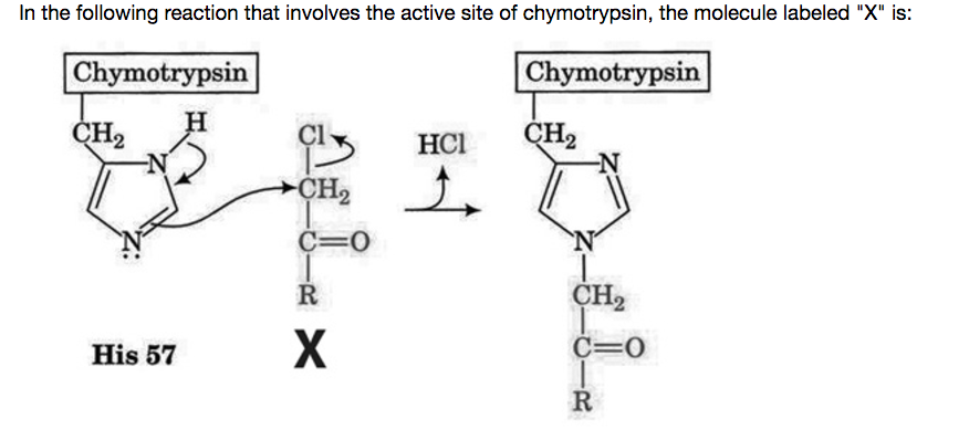 Solved A. a transition state analog B. a competitive | Chegg.com
