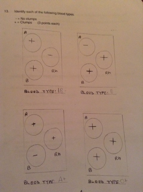 Solved 13. Identify each of the following blood types - No | Chegg.com