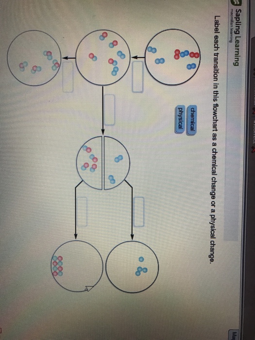 Solved Label each transition in this flowchart as a chemical | Chegg.com