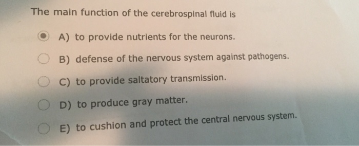 Solved The main function of the cerebrospinal fluid is to | Chegg.com