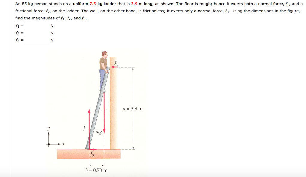 Solved An 85 kg person stands on a uniform 7.5-kg ladder | Chegg.com