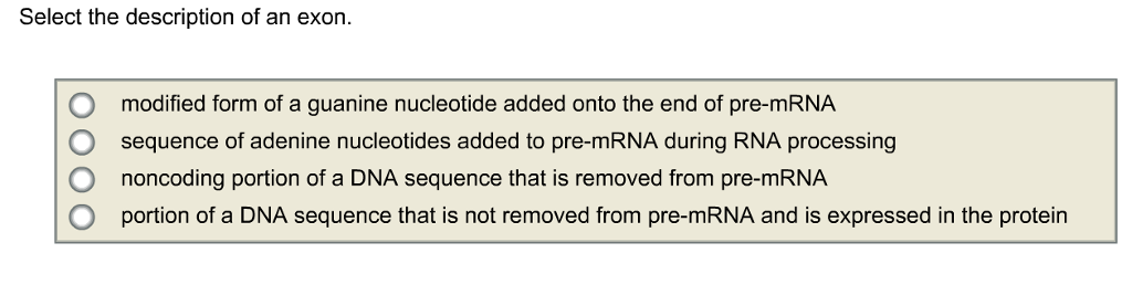 Solved Select the description of an exon. O O O O modified | Chegg.com
