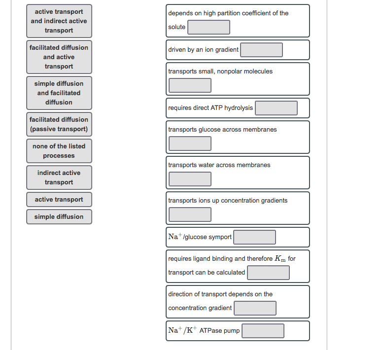 Solved active transport and indirect active transport | Chegg.com