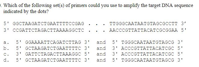 Solved Hi all, I'm completely lost on how to find primers | Chegg.com