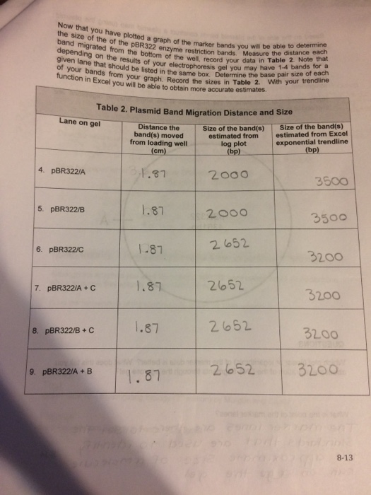Solved Based on the data given map all the restriction sites | Chegg.com