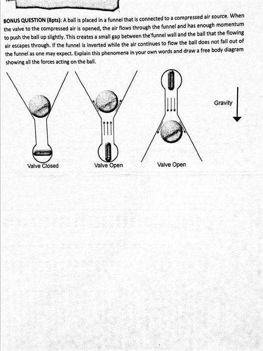 Solved A ball is placed In a funnel that 1$ connected to a | Chegg.com