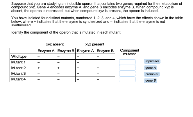 Solved Suppose that you are studying an inducible operon | Chegg.com