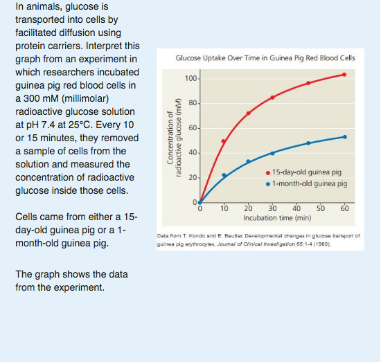 Facilitated Diffusion Graph