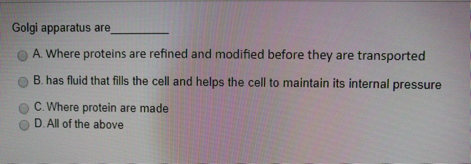 Solved Match the following Synthesis phase Gap 2 phase | Chegg.com