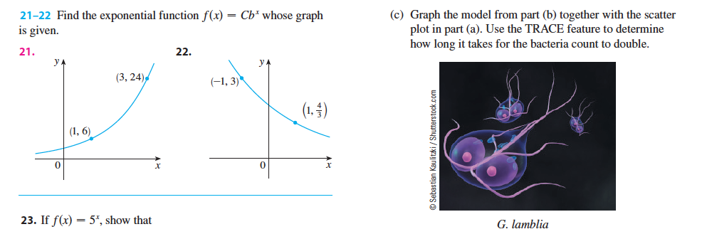 Solved 1-4 Use the Law of Exponents to rewrite and simplify | Chegg.com