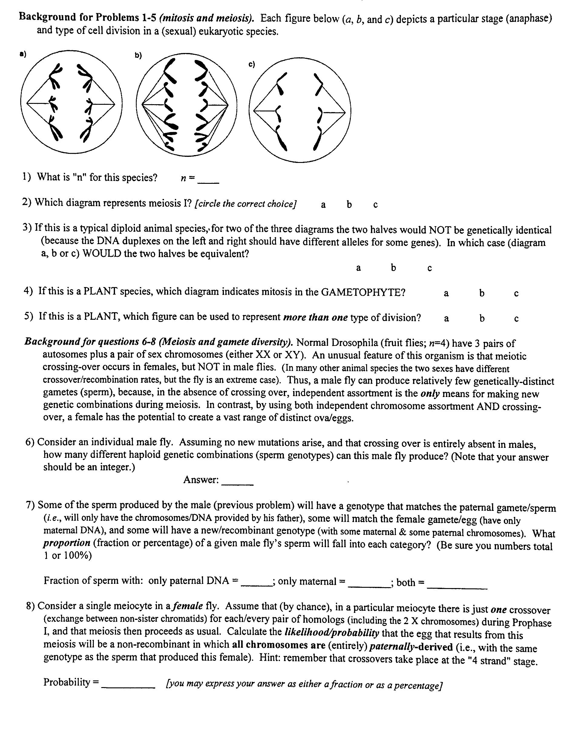 Solved Background for Problems 1-5 (mitosis and meiosis Each | Chegg.com