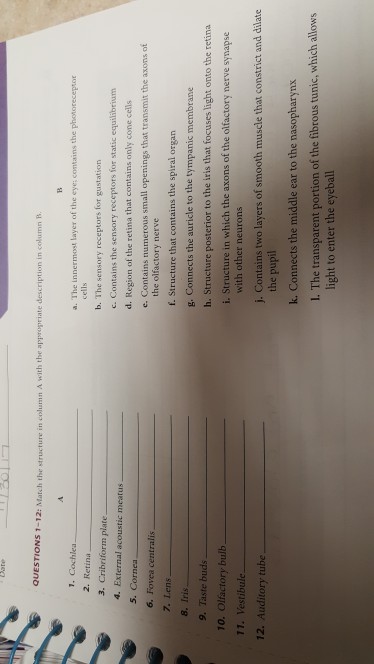 Solved QUESTIONS 1-12: Match the structure in column A with | Chegg.com Solved QUESTIONS 1-12: Match the structure in column A with | Chegg.com