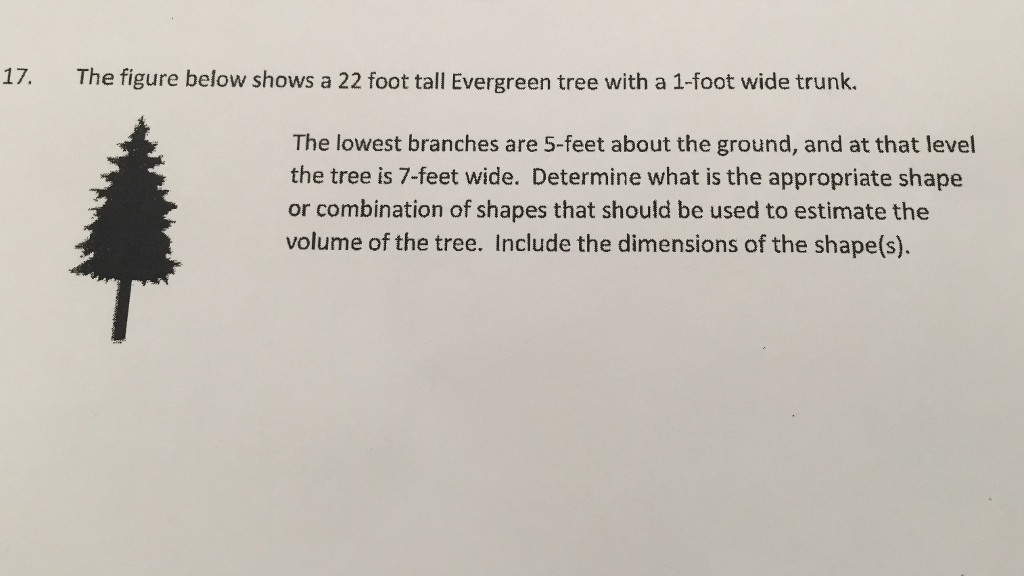 Solved 17. The figure below shows a 22 foot tall Evergreen | Chegg.com