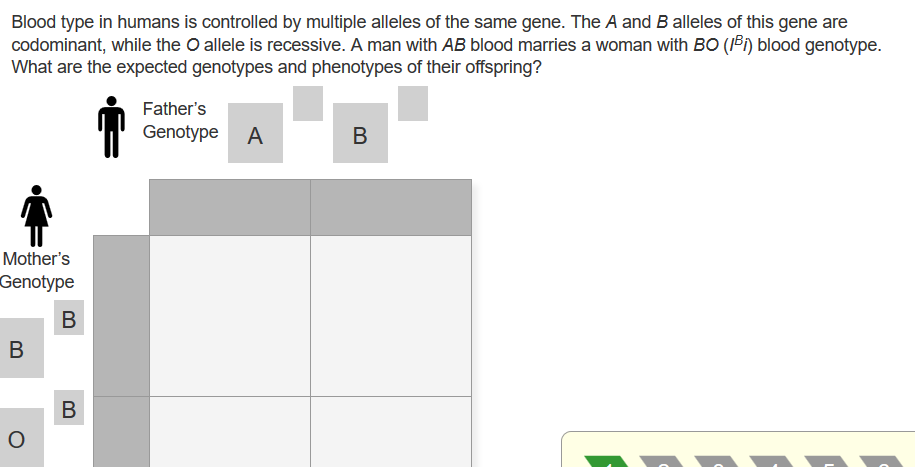 Solved Blood type in humans is controlled by multiple | Chegg.com
