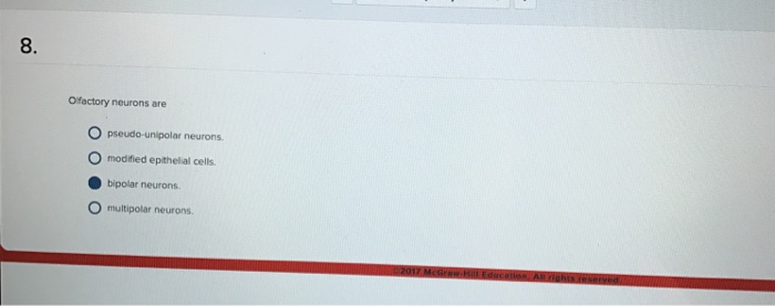 Solved Place the structures an action potential will pass | Chegg.com