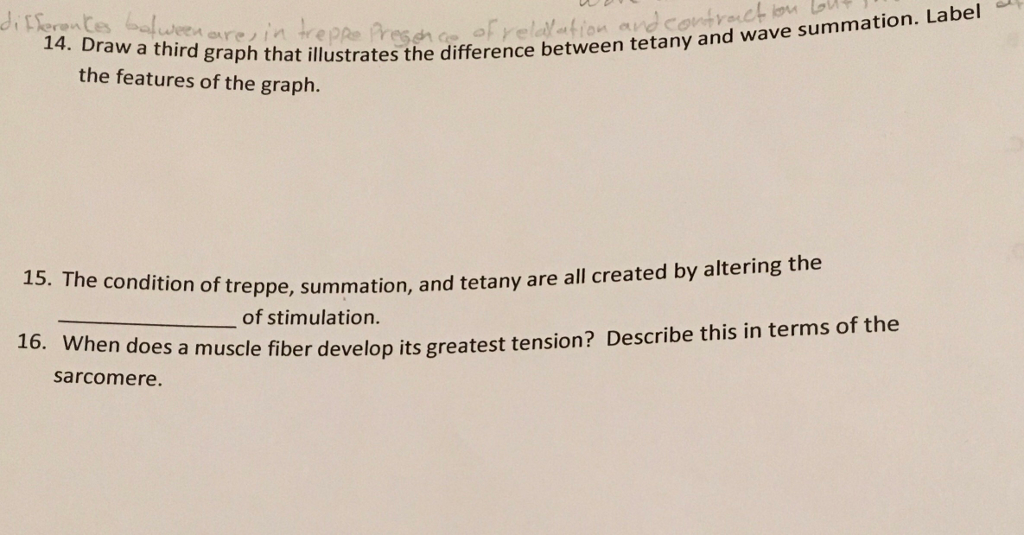 Solved 14 tany and wave summation. Label . Draw a third | Chegg.com
