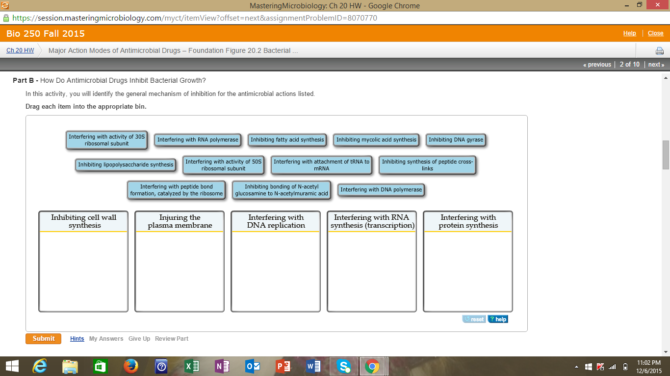 Solved: How Do Antimicrobial Drugs Inhibit Bacterial Growt... | Chegg.com