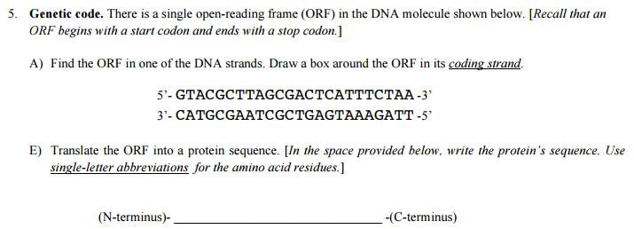 Solved There is a single open-reading frame (ORF) in the DNA | Chegg.com