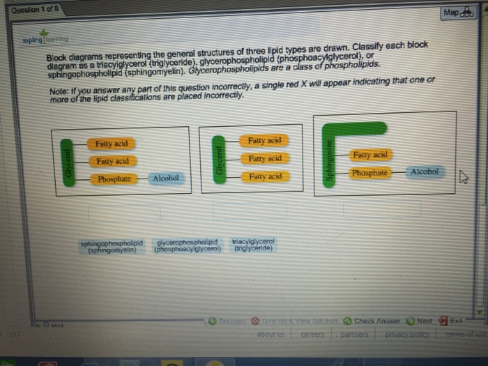 Solved Block diagrams representing the general structures of | Chegg.com