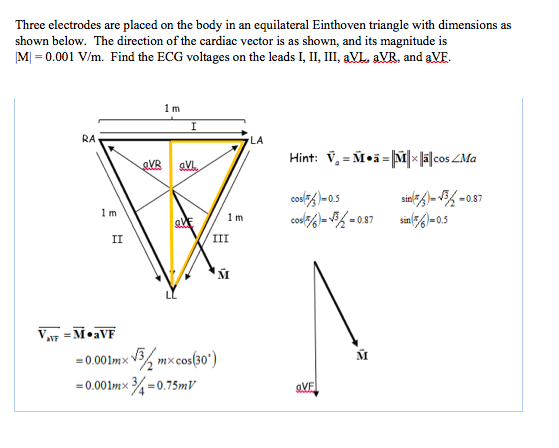 Solved Three electrodes are placed on the body in an | Chegg.com